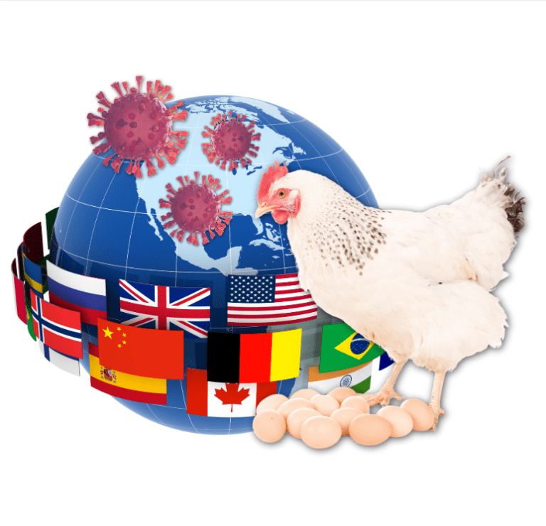Global Poultry Industry Report 2025: Trends, Challenges and Future ...